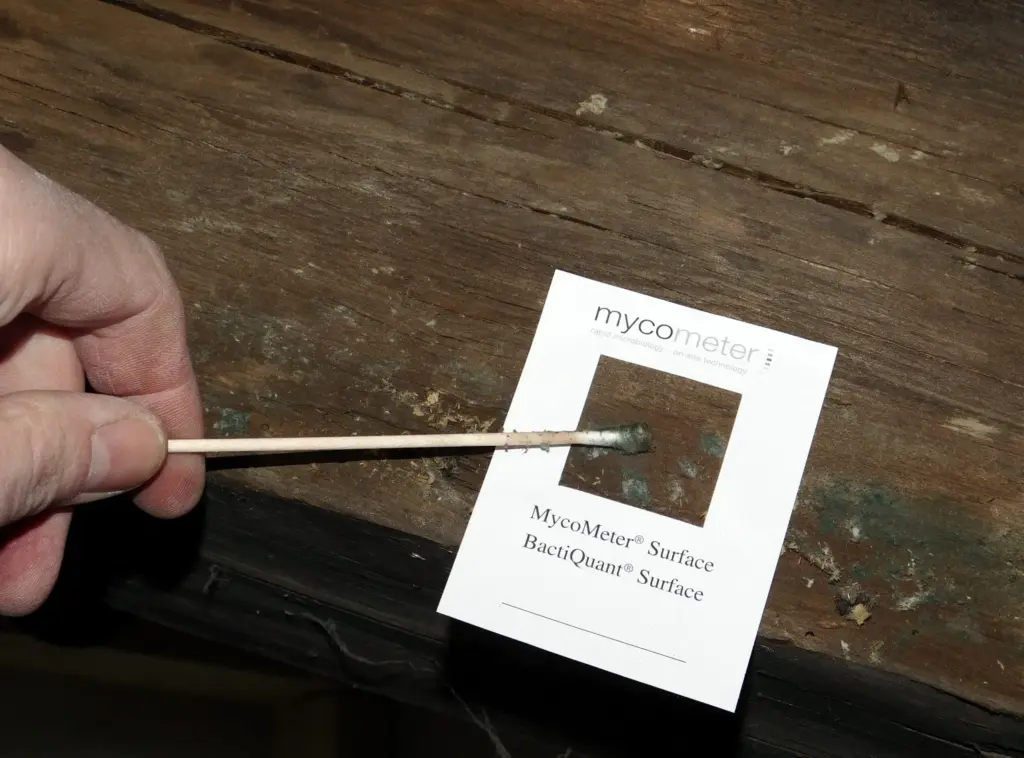 Mycometer skimmelsvamp test - Trygtindeklima.dk